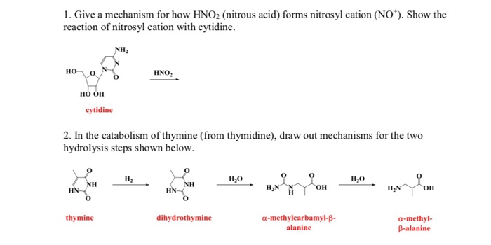 Solved 1. Give a mechanism for how HNO2 (nitrous acid) forms | Chegg.com