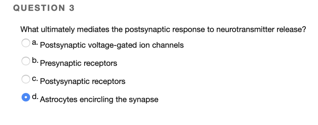 Solved QUESTION 3 What ultimately mediates the postsynaptic | Chegg.com