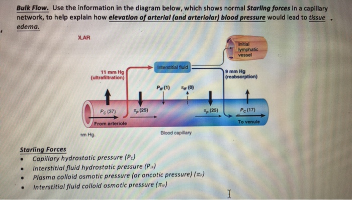 Anatomy And Physiology Archive | April 07, 2018 | Chegg.com