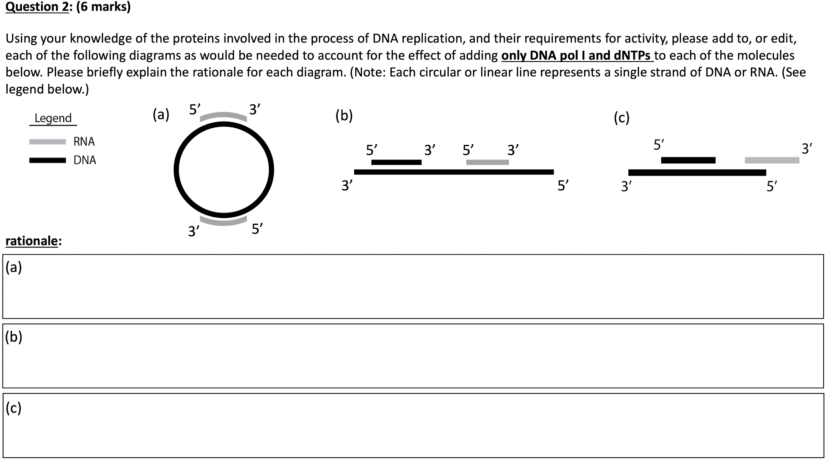 Solved Using your knowledge of the proteins involved in the | Chegg.com