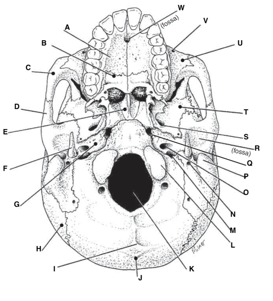 Solved Using choices from the numbered key to the right, | Chegg.com