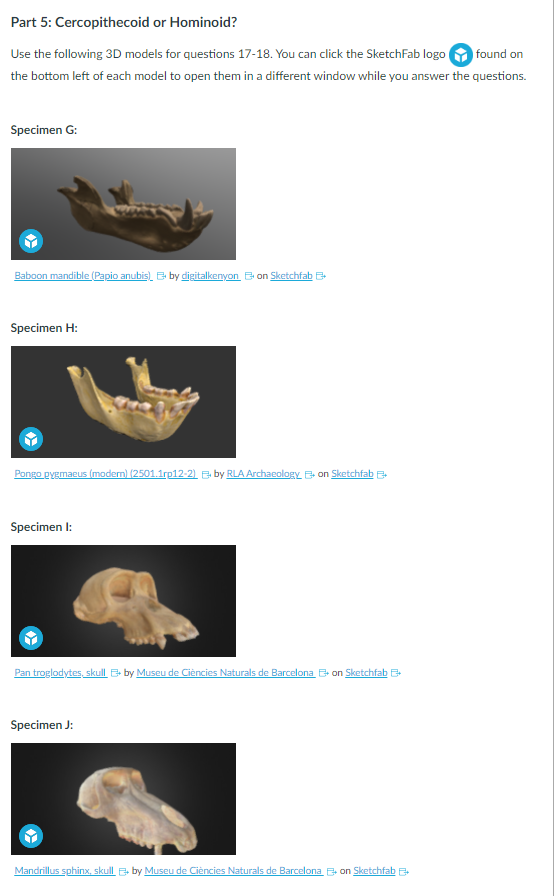 Solved Part 5: Cercopithecoid or Hominoid? Use the following | Chegg.com