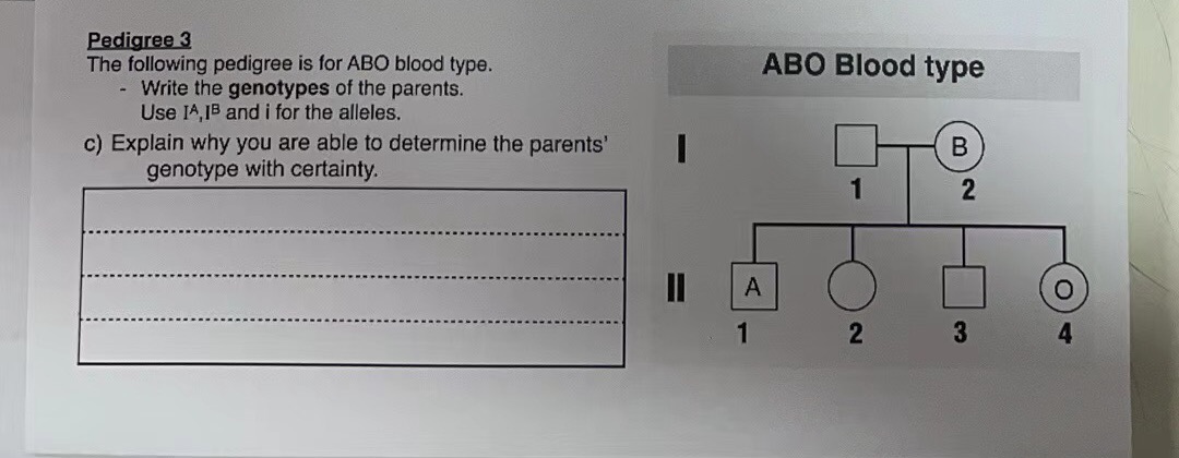 Solved Pedigree 3 The following pedigree is for ABO blood | Chegg.com