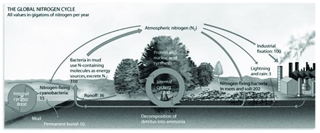 Solved Based on the information provided, which of the | Chegg.com