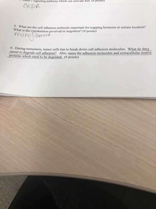Solved Isignaling pathway which can activate Ras. (4 points) | Chegg.com