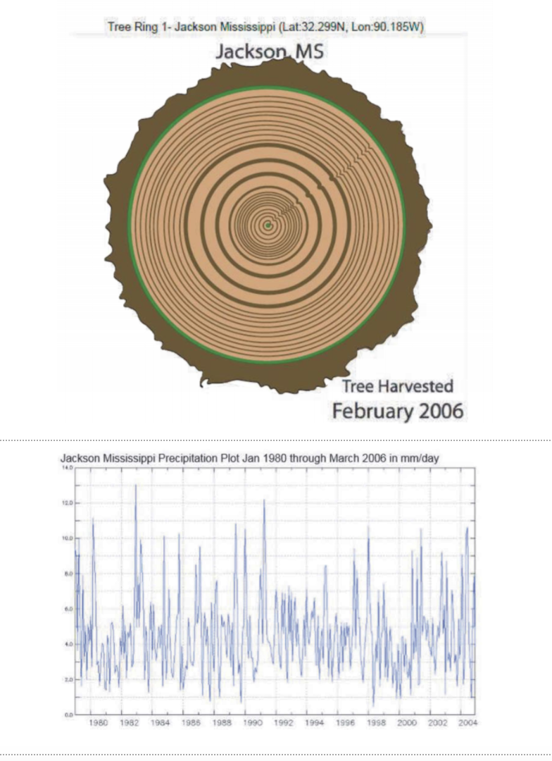 Solved Task 1: Tree Ring Analysis (20 points) In your | Chegg.com
