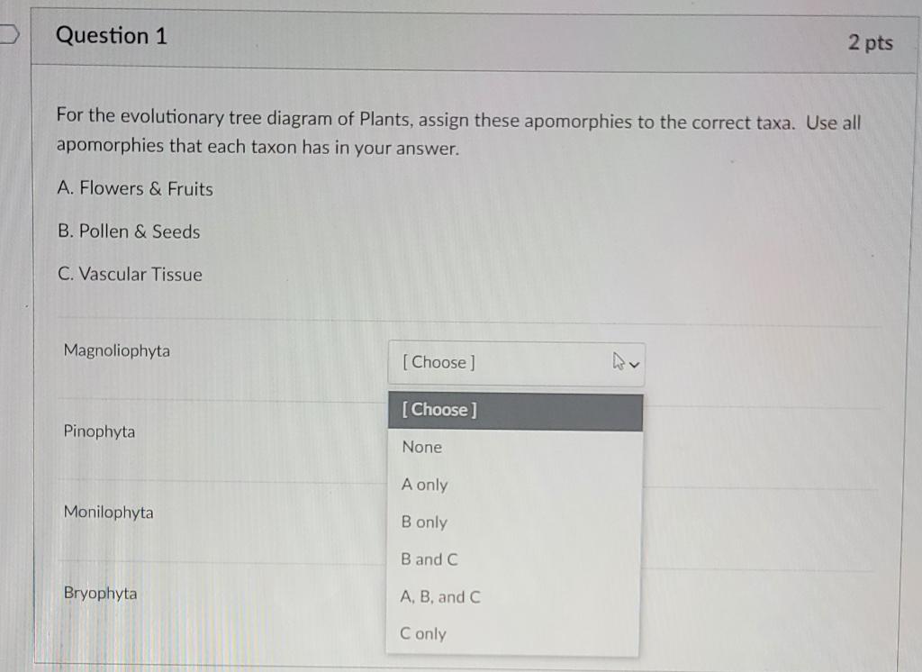 Solved > Question 1 2 pts For the evolutionary tree diagram | Chegg.com