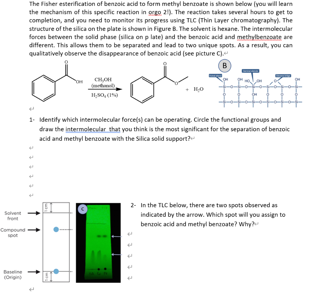 Solved The Fisher esterification of benzoic acid to form | Chegg.com
