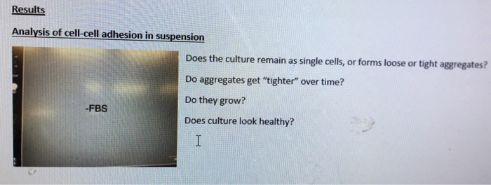 Results Analysis of cell-cell adhesion in suspension | Chegg.com