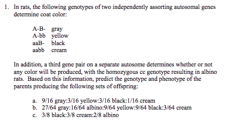 Solved 1. In rats, the following genotypes of two | Chegg.com