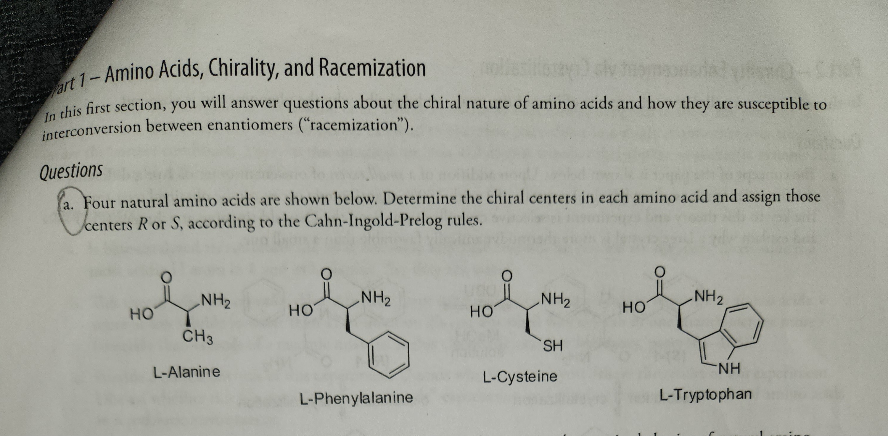 Solved art 1-Amino Acids, Chirality, and Racemization In | Chegg.com