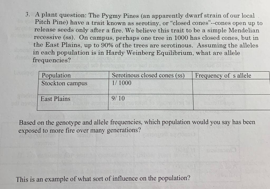 Solved 3. A plant question: The Pygmy Pines (an apparently | Chegg.com