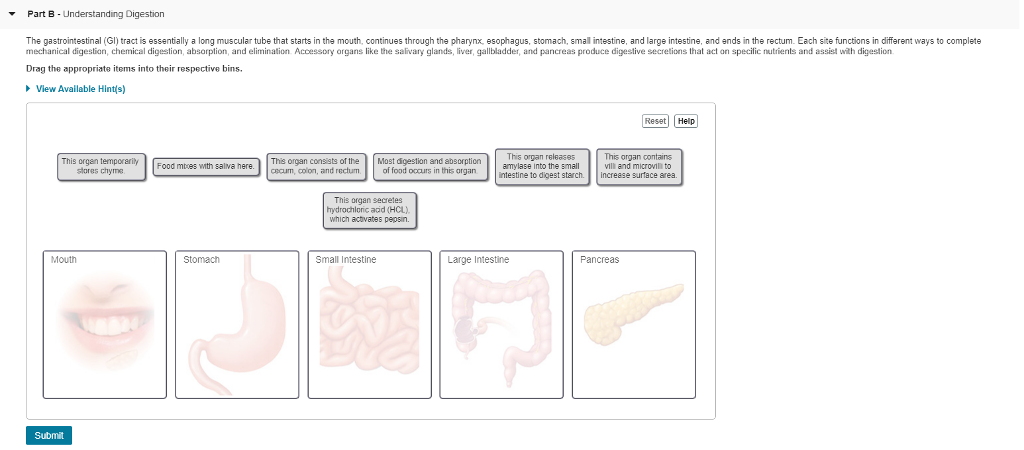 Solved Part B- Understanding Digestion The gastrointestinal | Chegg.com