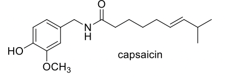 Solved The structure of capsaicin, the pungent ingredient in | Chegg.com