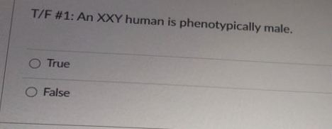 Solved T/F #1: An XXY human is phenotypically male. O True O | Chegg.com