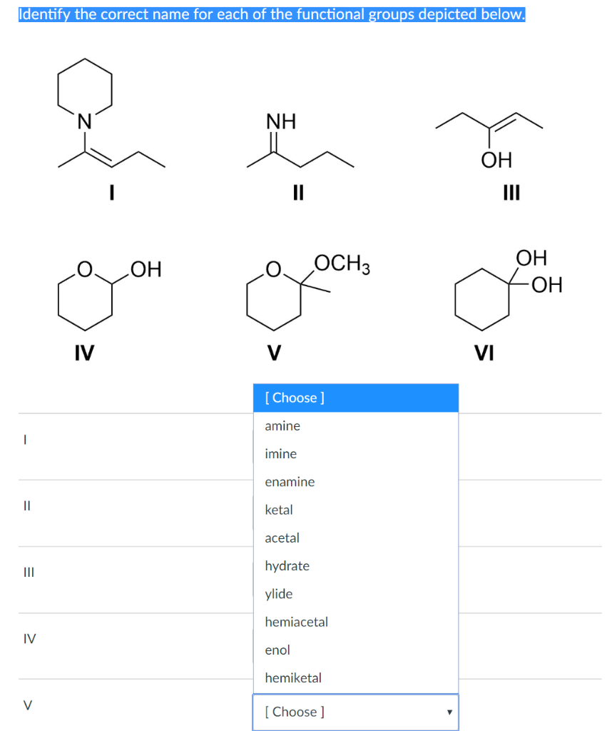 Solved Identify the correct name for each of the functional | Chegg.com