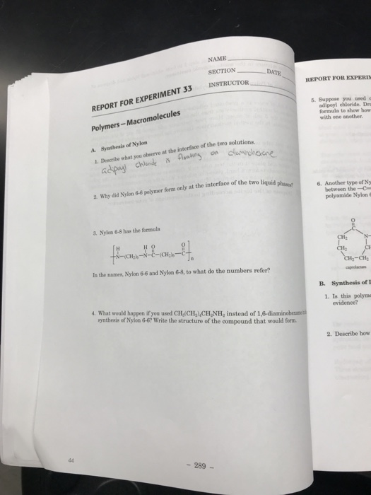 Solved NAME SECTION DATE REPORT FOR EXPERIMENT 33 INSTRUCTOR | Chegg.com