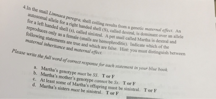Solved In the snail Limnaea peregra, shell coiling results | Chegg.com