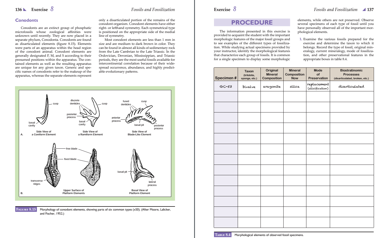 I've never posted a question before, but let me know | Chegg.com
