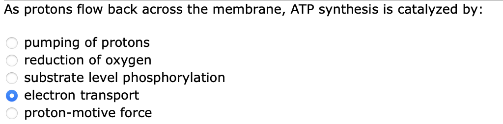 Solved As protons flow back across the membrane, ATP | Chegg.com
