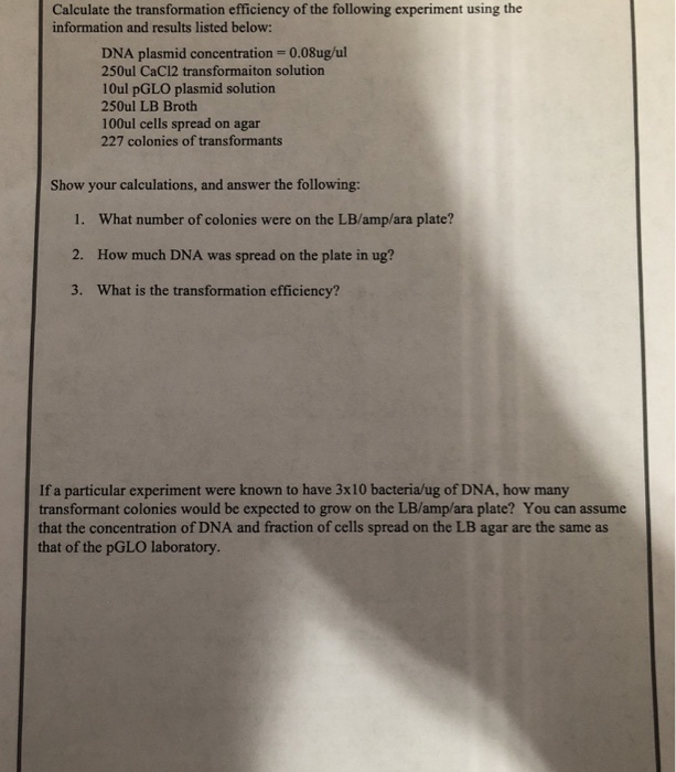 Solved Calculate The Transformation Efficiency Of The