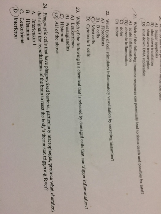 Solved Which of the following immune responses can | Chegg.com