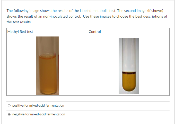 Solved The following image shows the results of the labeled | Chegg.com