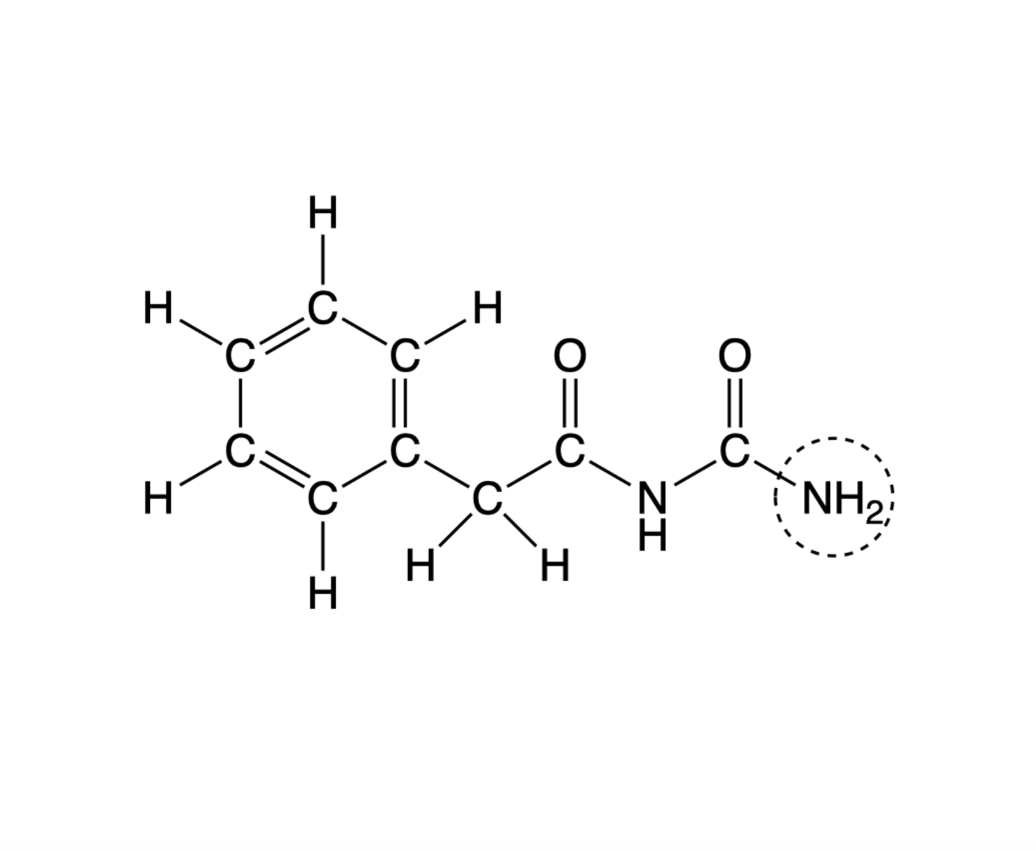 Solved Phenacemide is a drug used in the treatment of | Chegg.com