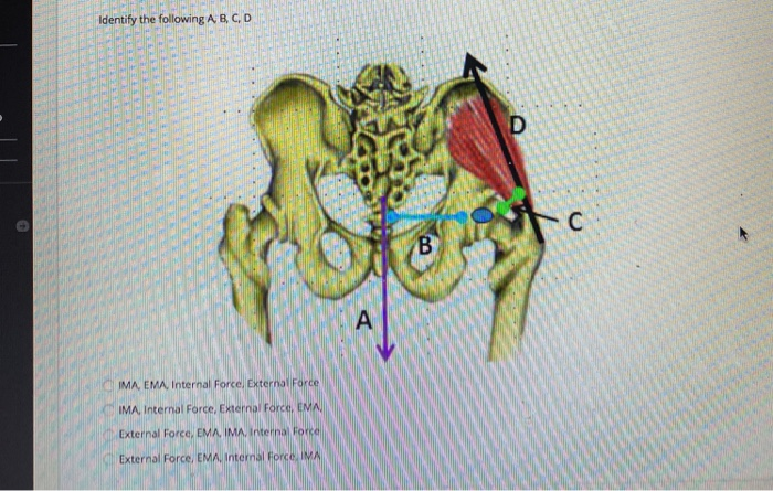 Solved Identify the following AB,C,D 1 IMA EMA Internal | Chegg.com
