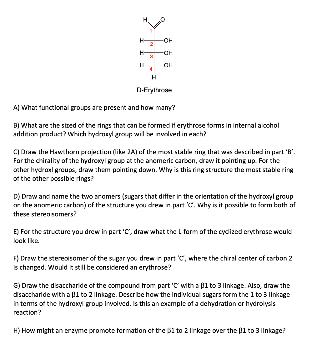 Solved Н. 1 H- -OH H -OH 3 H -OH 4 H D-Erythrose A) What | Chegg.com