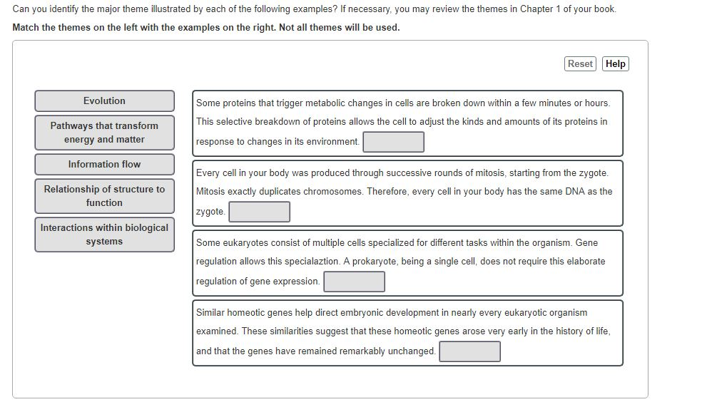 Solved Can You Identify The Major Theme Illustrated By Each Chegg