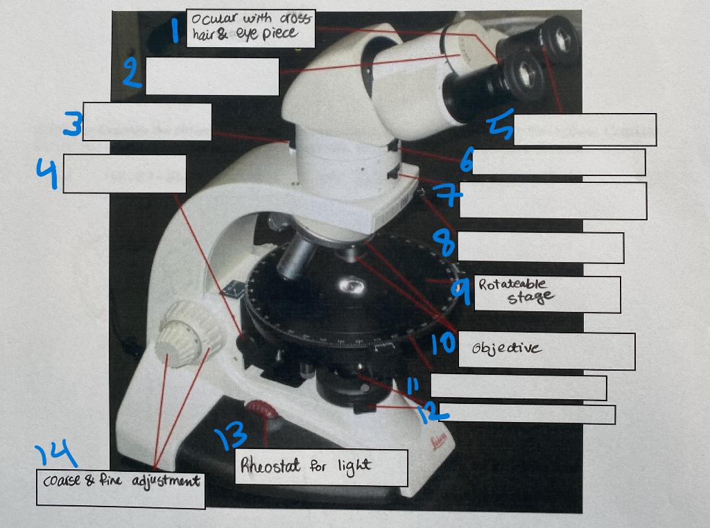 Solved Write the components of the microscope in the | Chegg.com