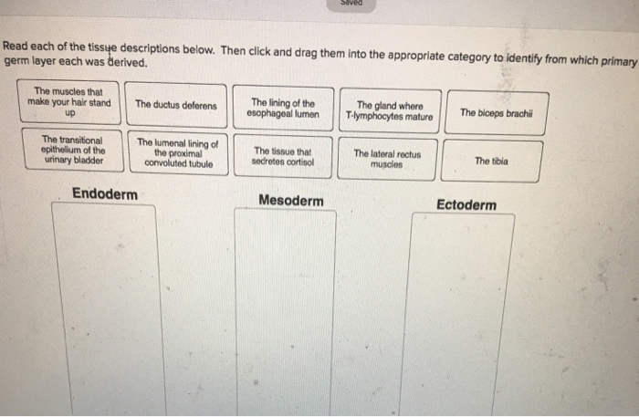 Solved Read each of the tissue descriptions below. Then | Chegg.com