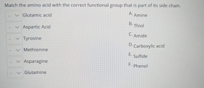 Solved Match the amino acid with the correct functional | Chegg.com