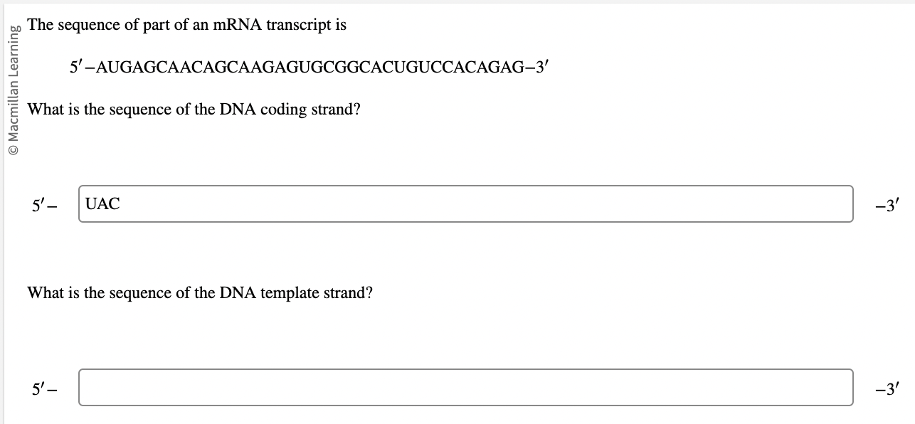 Solved The sequence of part of an mRNA transcript | Chegg.com
