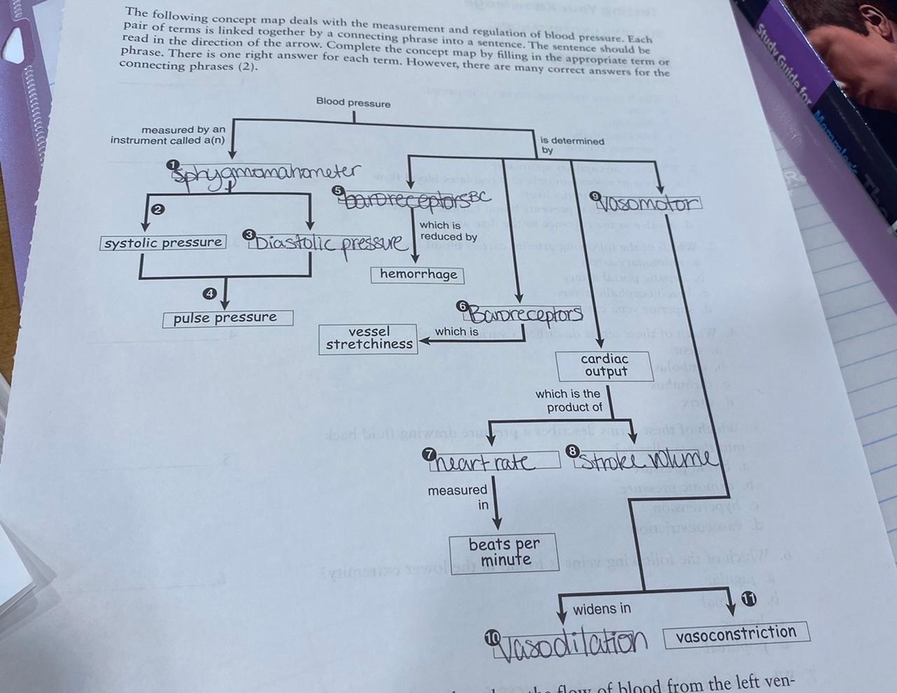 Solved The following concept map deals with the measurement | Chegg.com
