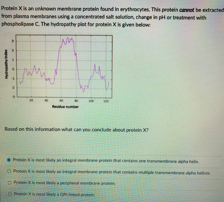 Solved Protein X is an unknown membrane protein found in | Chegg.com