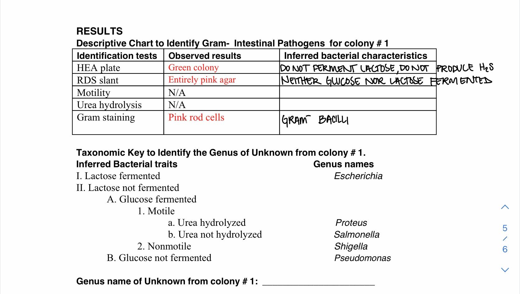 Solved RESULTS Descriptive Chart to Identify Gram- | Chegg.com