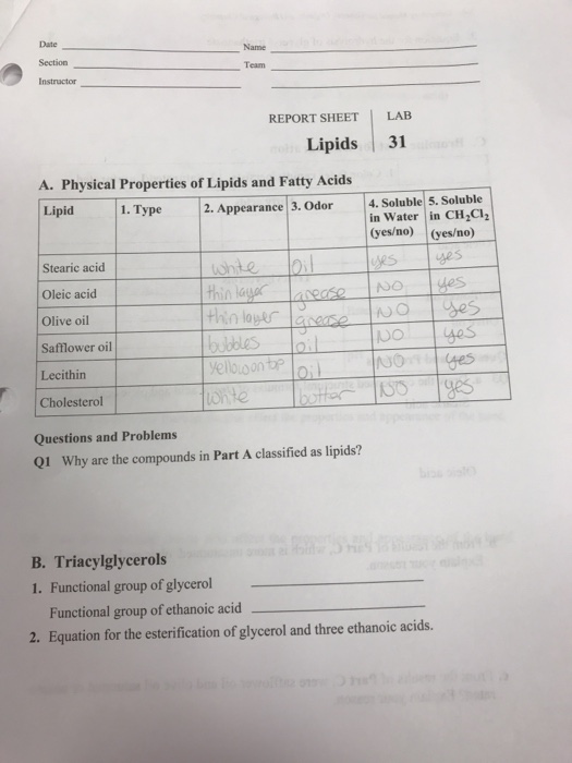 Solved Date Section Instructor Name Team REPORT SHEET LAB | Chegg.com Solved Date Section Instructor Name Team REPORT SHEET LAB | Chegg.com