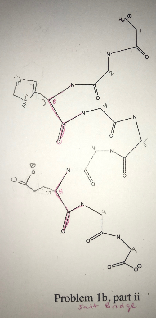 Solved Draw the salt-bridge interaction between H3 | Chegg.com