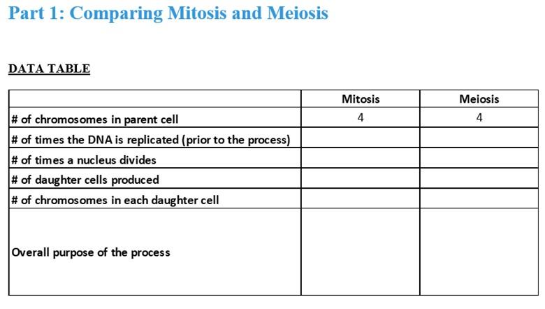 Solved Part 1: Comparing Mitosis and Meiosis DATA TABLE | Chegg.com