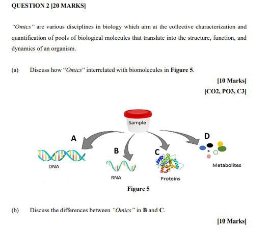 Solved QUESTION 2 [20 MARKS] "Omics" are various disciplines | Chegg.com