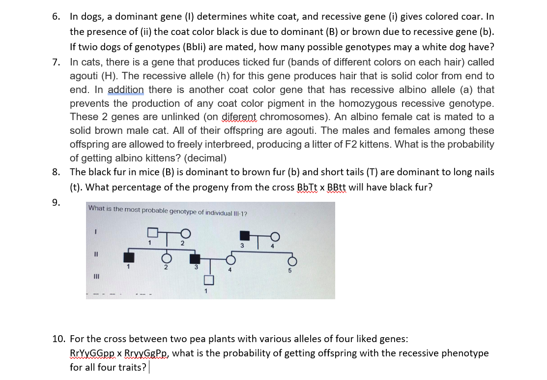 Solved 6. In dogs, a dominant gene (1) determines white | Chegg.com