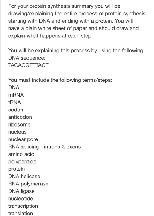 Solved For your protein synthesis summary you will be | Chegg.com