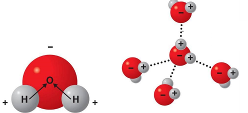 Solved Describe atomic structure using the terms proton, | Chegg.com