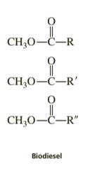 Solved You have 6 grams of biodiesel. Calculate the moles of | Chegg.com
