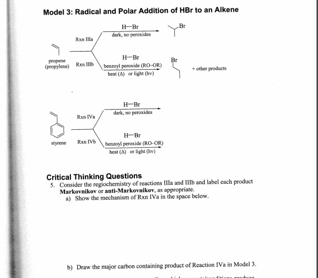 Solved Model 3: Radical and Polar Addition of HBr to an | Chegg.com