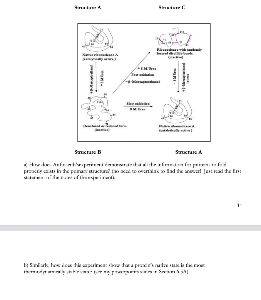 Solved Structure A Structure C Structure B Structure A A