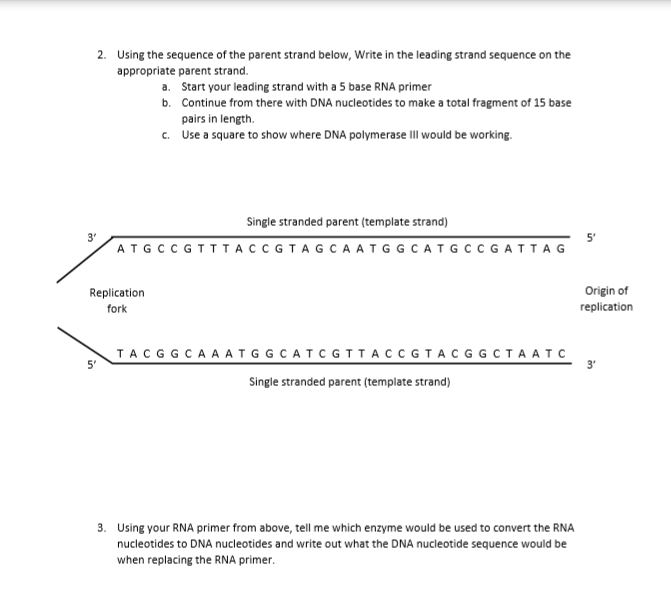 Solved a. 1. For each replication fork diagram below, do the | Chegg.com