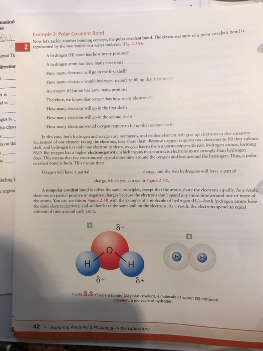 Solved Pre-Lab Exercise 2-3 Chemical Bonding One of the more | Chegg.com
